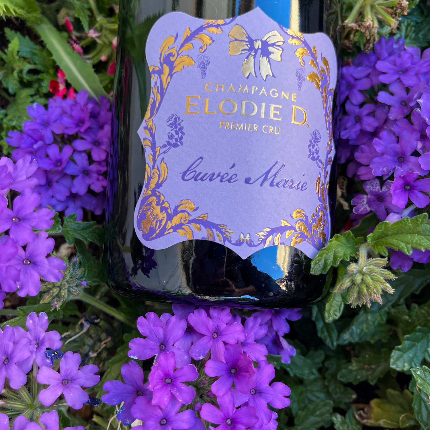 Cuvée Marie - Champagne Elodie D à Epernay